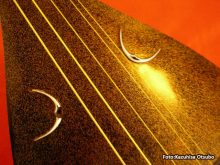 Akiko Sakurai (Biwa) | Fundação Japão em São Paulo